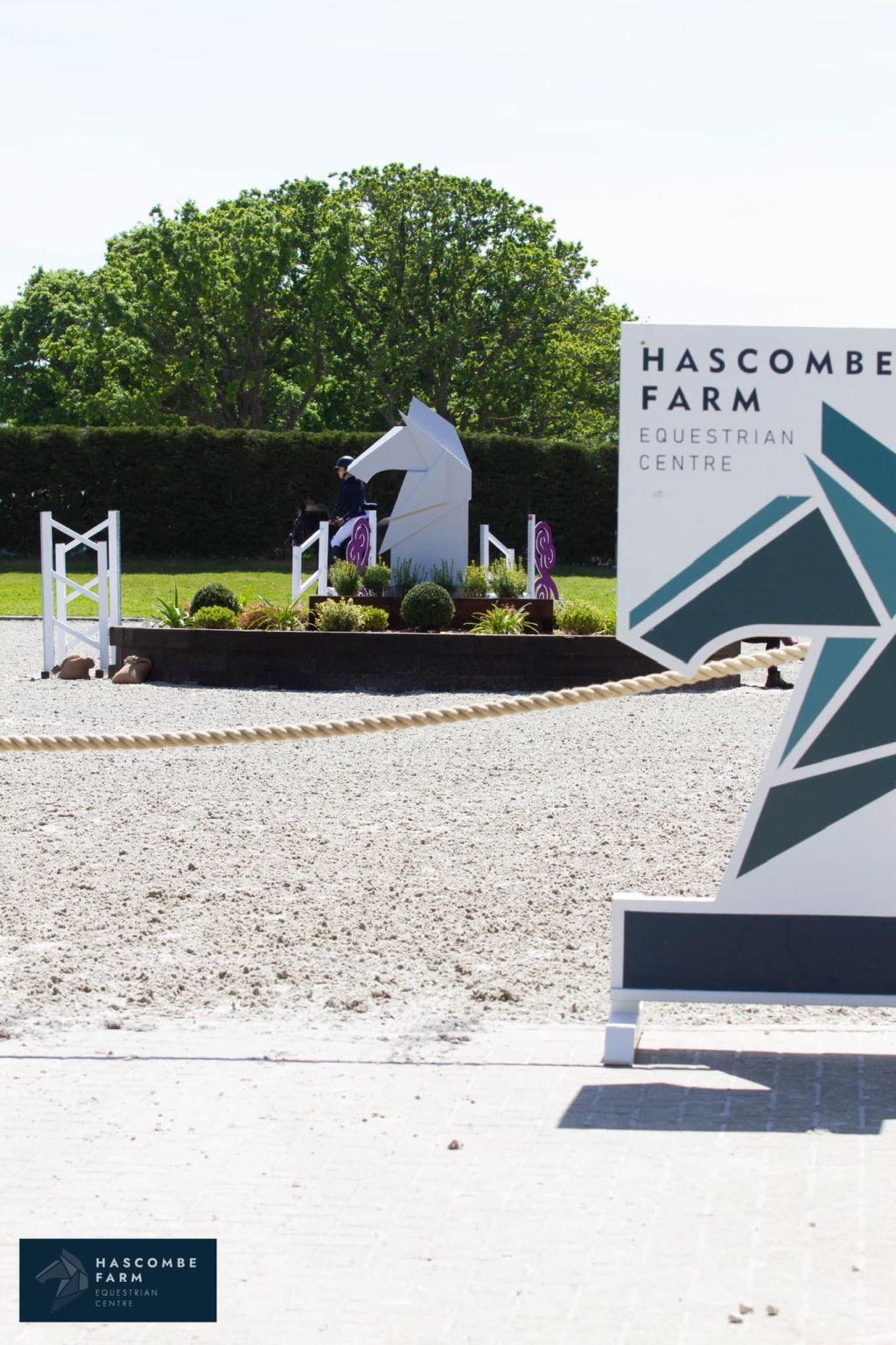 Welcome to the Horsham & District Riding Club | Horsham & District ...