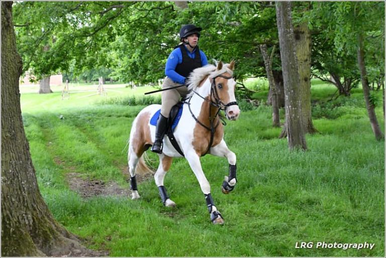 Results | Horsham & District Riding Club