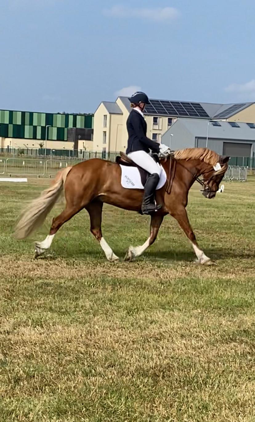 NAF Five Star National Championships 2021 | Horsham & District Riding Club